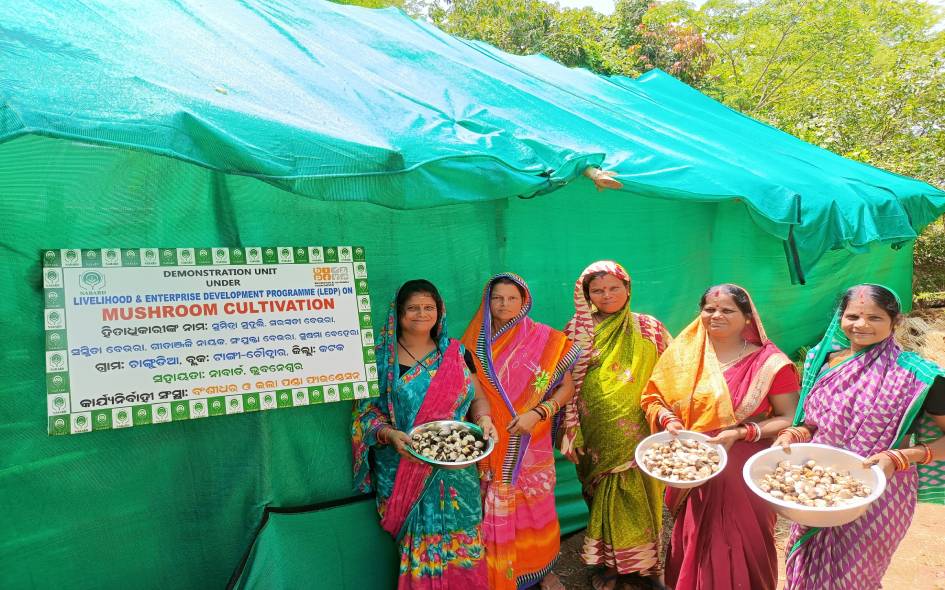 BIPF The CSR arm of Indian Metals and Ferro Alloys Limited | BIPF - Odisha